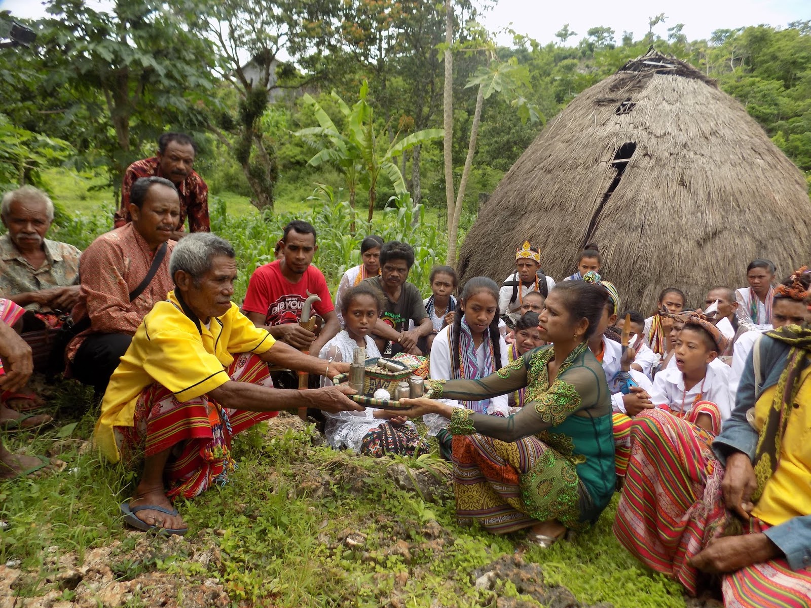 Mengenal Tradisi Pindah Rumah Timor Tengah Selatan