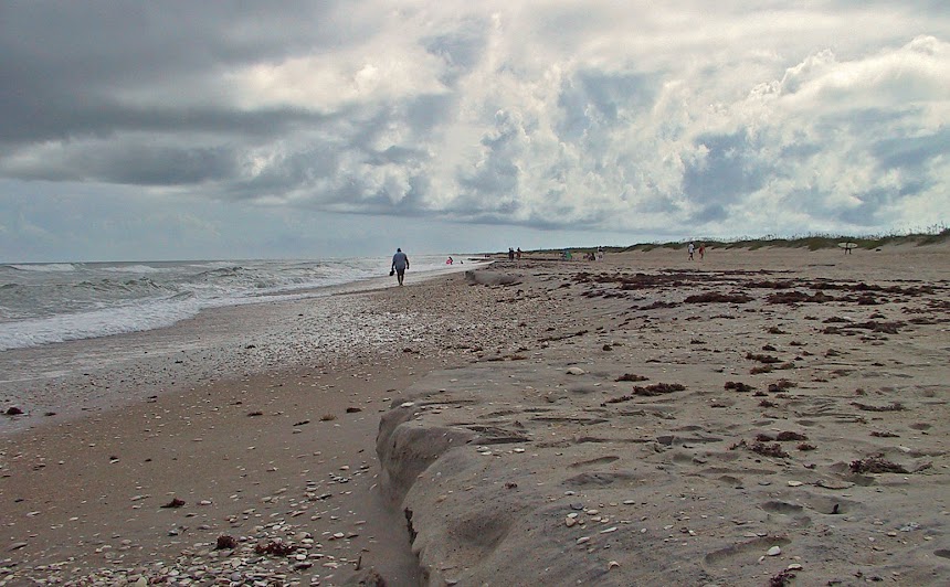 Living the life in Saint-Aignan: Sand and shells on Core Banks NC