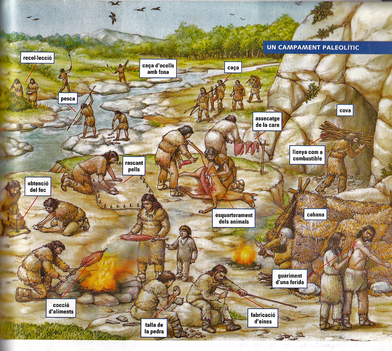EL BLOG DE LES CIENCIES: HISTORIA: el paleolític