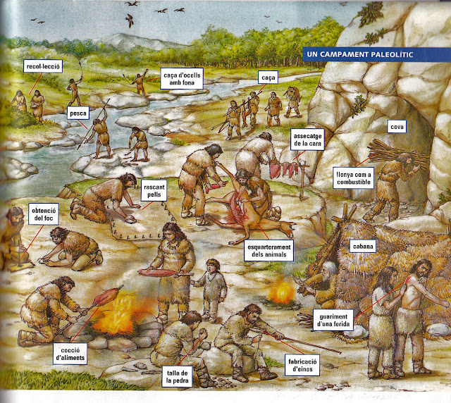 EL BLOG DE LES CIENCIES: HISTORIA: el paleolític