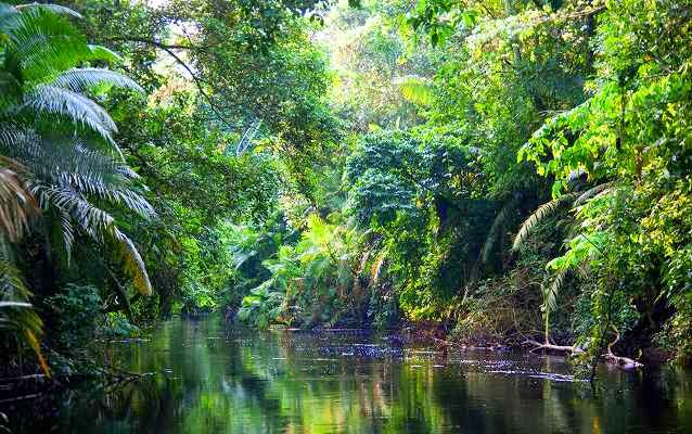 HISTORIA Y TURISMO: EL PARQUE YASUNI