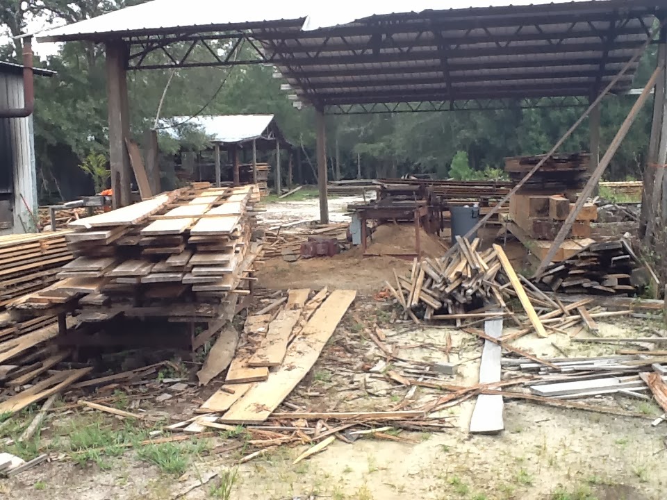 Natural Creations: Sinker Cypress: Nature's Underwater Treasure