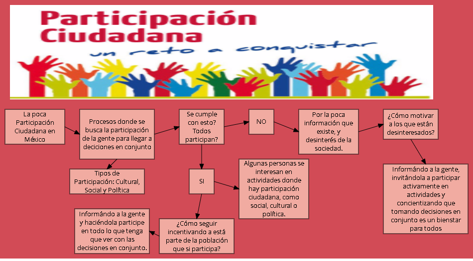 La importancia de un flujograma. Tema: La poca Participación en México
