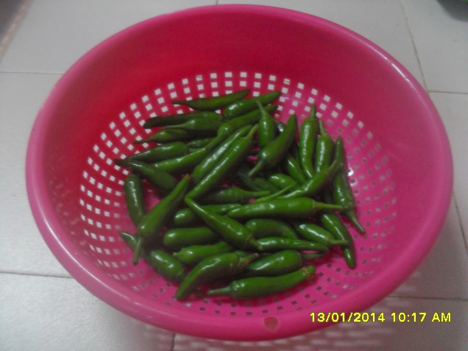 Red Hot Aie Chillies