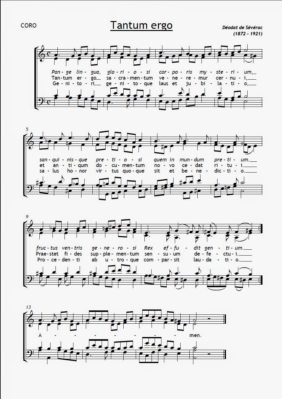 Forgotten Leaves: A Languedoc Tantum Ergo