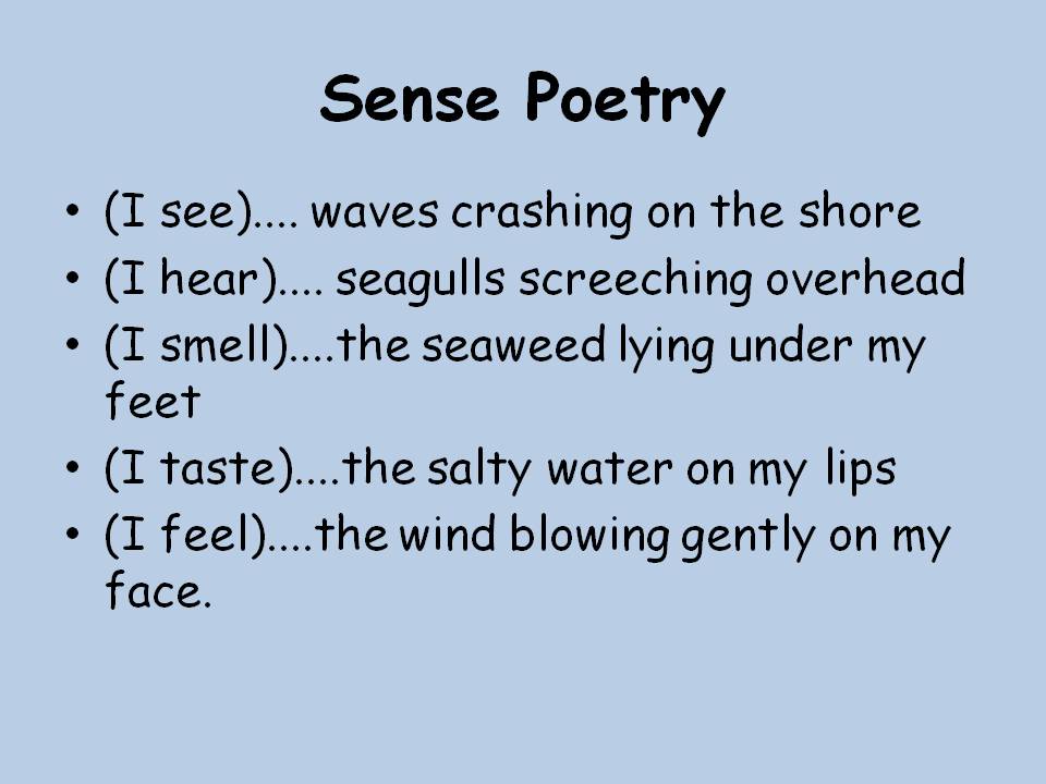 Ms. Forde's Classroom: Fun with the 5 Senses