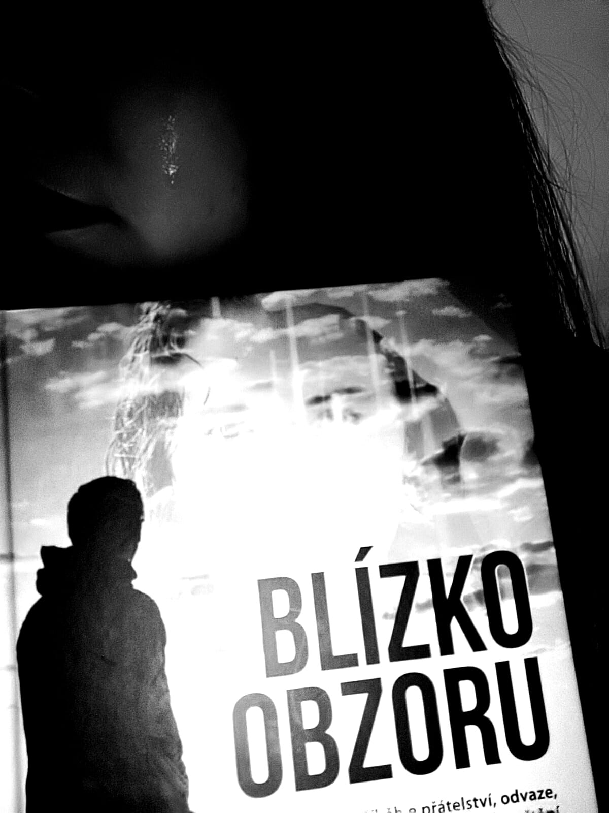Knižní deníček: RECENZE: Blízko obzoru - Jessica Koch