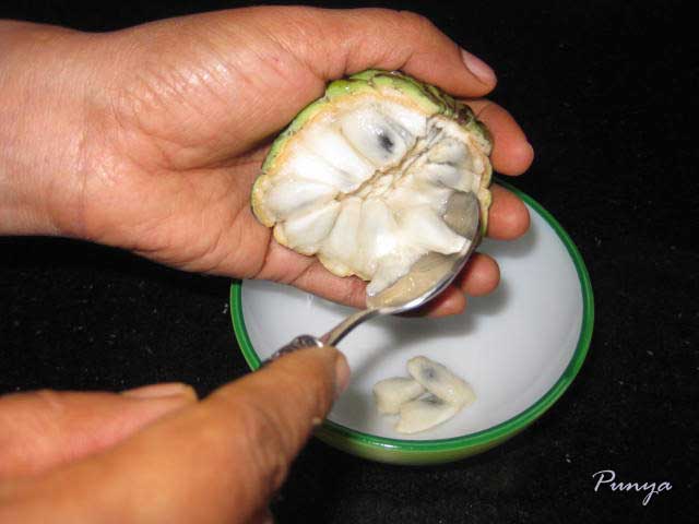 Creative and Crazy cooking for the Cool kids: Custard apple (Seethaphal)