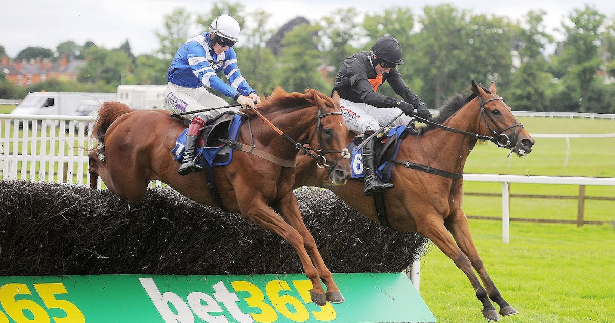 Worcester Racecourse: Racing is back for 2017 at Worcester Racecourse