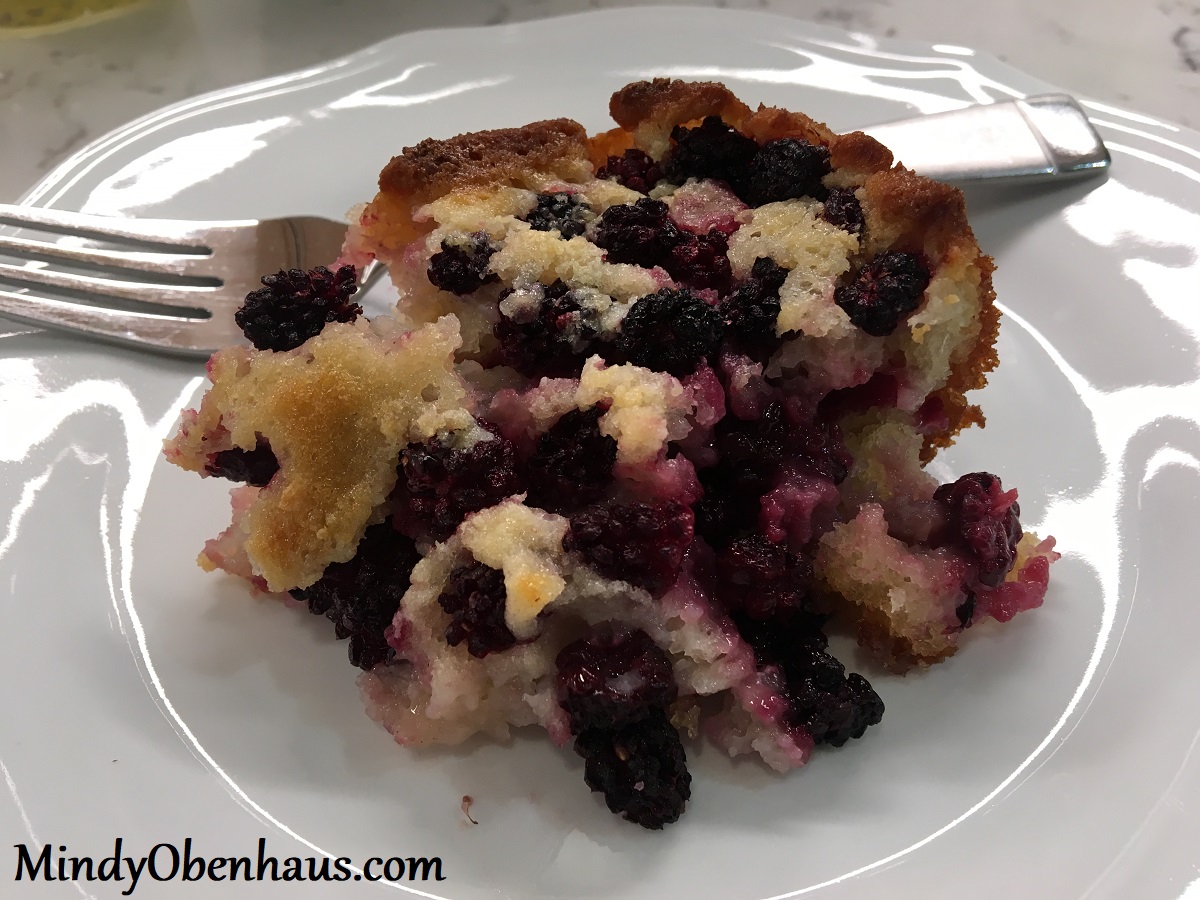 Yankee-Belle Cafe: Dewberry Cobbler