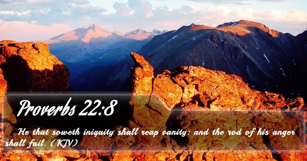 INSPIRATIONAL QUOTES | PROVERBS 22:8