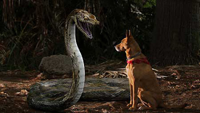 Todo El Terror Del Mundo: Mega Python Vs. Gatoroid (メガ・パイソンVSギガント・ゲイタ ...