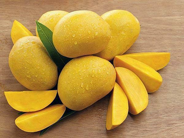 Fresh Mango Export from Pakistan