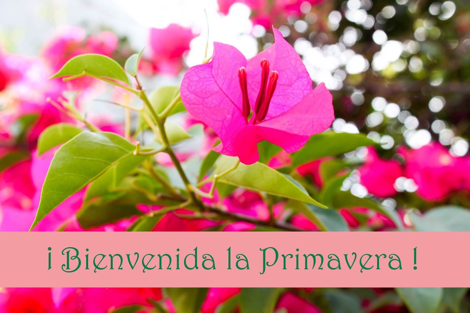 La página verde: Primavera