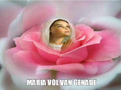 JEZUS en MARIA Groep.: MARIA VOL VAN GENADE