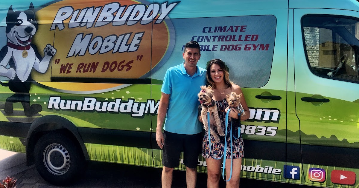 Run Buddy Mobile: A mobile dog gym offering fitness sessions!