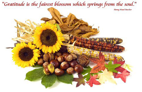 Paradise Galleries - Where Dolls and Smiles Grow: First of November ...