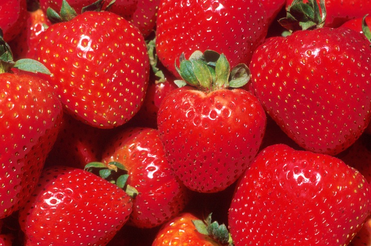 tips menanam tanaman buah strawberry dalam pot - tabulampot - Informasi ...