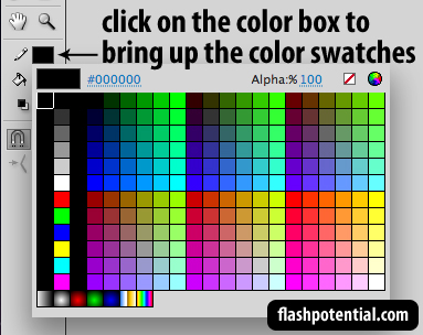 The fill color vs the stroke color - Flash CS5 Beginners Tutorial