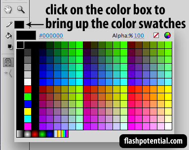 The fill color vs the stroke color - Flash CS5 Beginners Tutorial