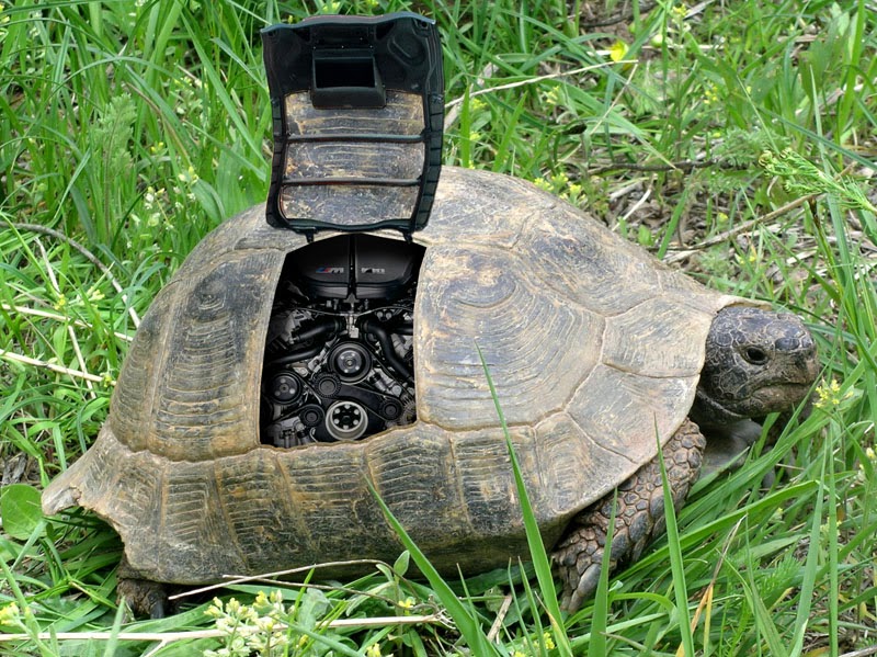 Cute Funny Animalz: March 2014