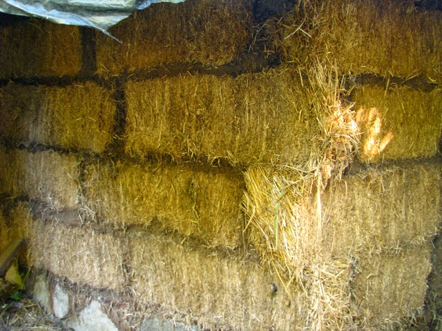 Salukitecture: Strawbale Construction