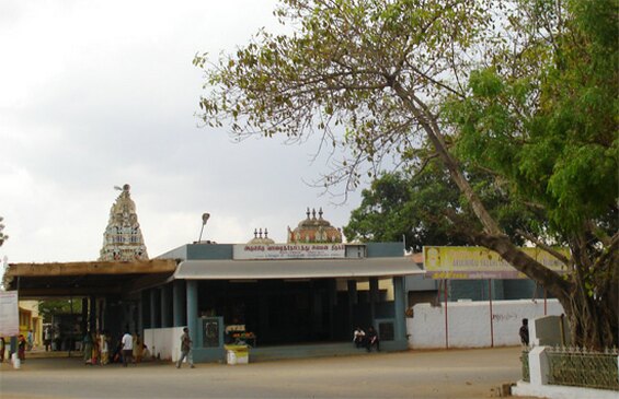 Tamilnadu Tourism: Vazhai Thottathu Ayyan Temple, V.Ayyampalayam, Tirupur