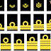 Canadian Armed Forces ranks and insignia