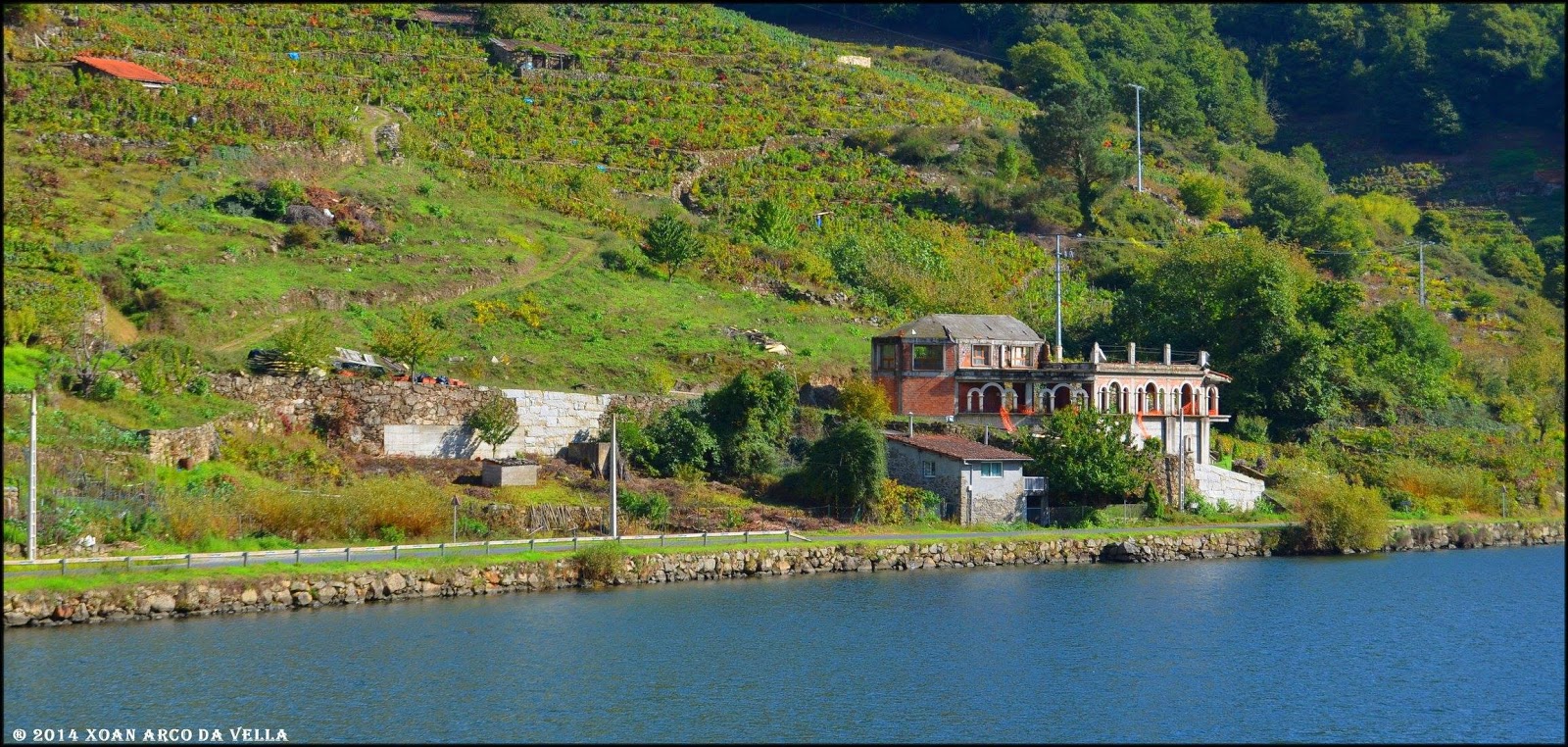XOAN ARCO DA VELLA: BELESAR - LUGO