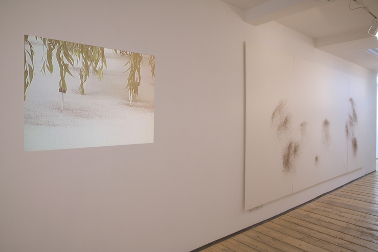 Oh, by the way...: BEAUTY: Art--Tim Knowles