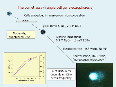 Andrew Collins: Andrew Collins CV