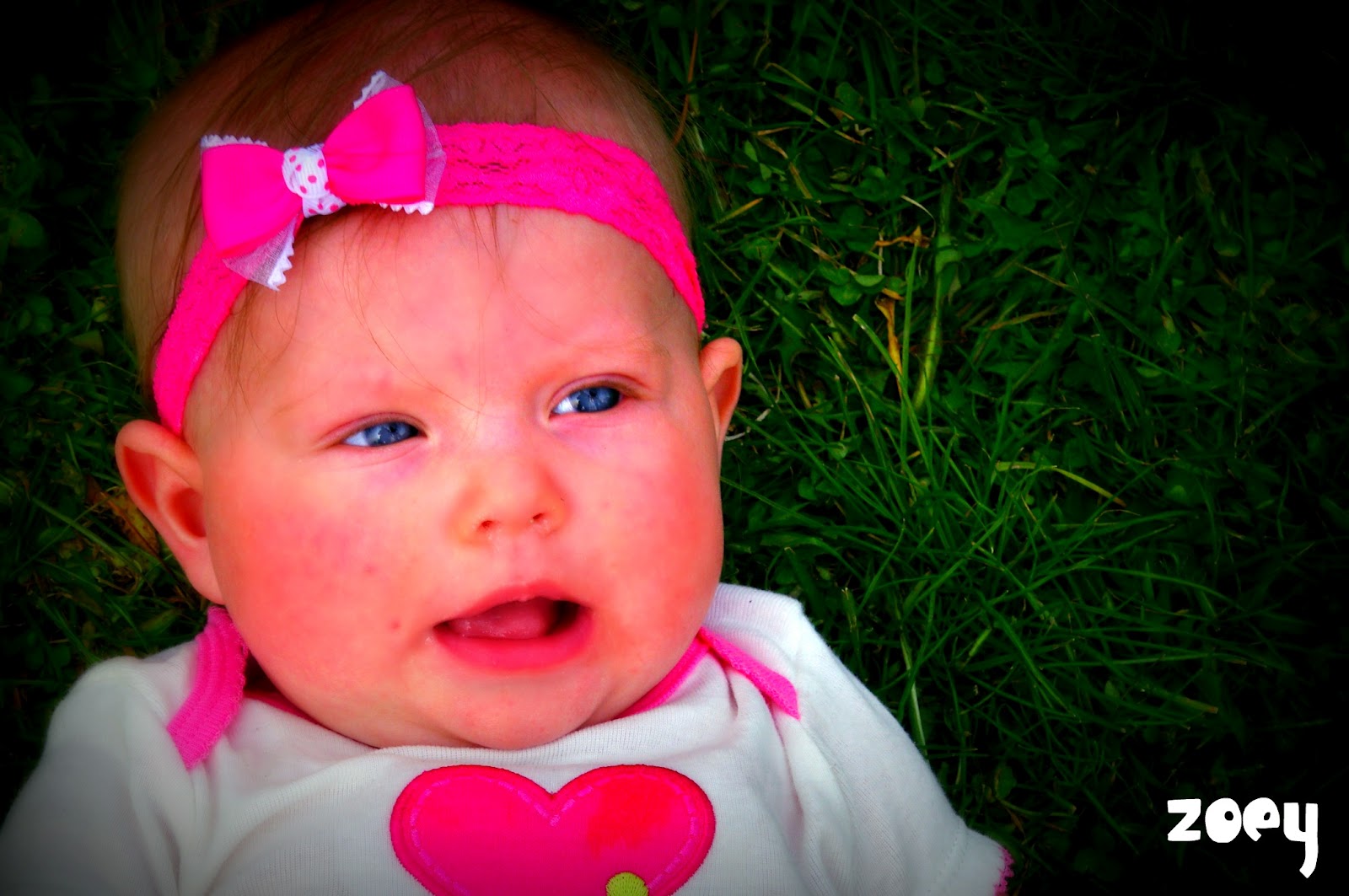 Pixie Chix Photo Design