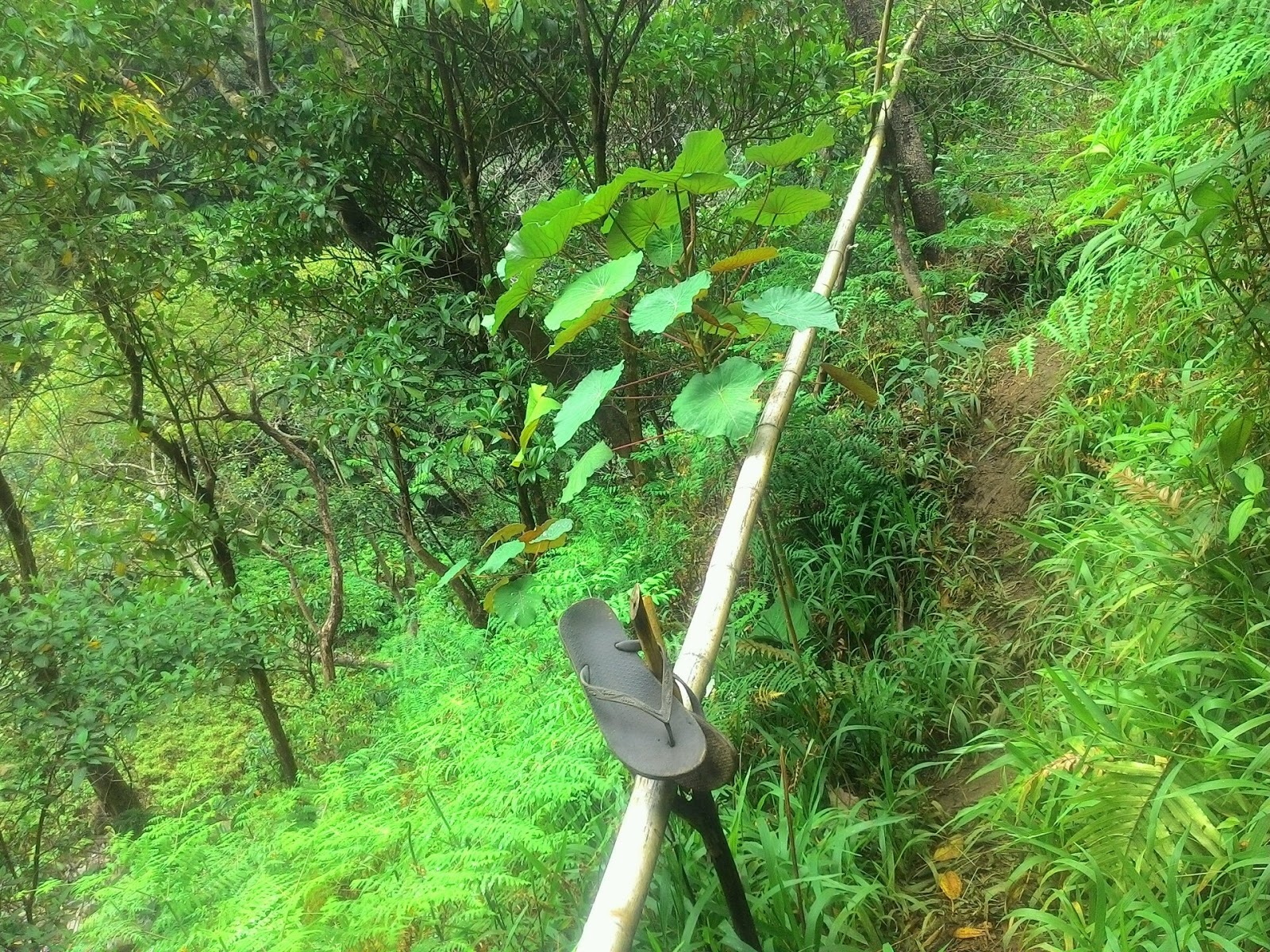 TRAVEL: Nomadic Traveling : Why Sulfur River is Worth the Climb