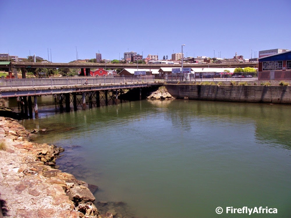Port Elizabeth Daily Photo: The Baakens River Mouth