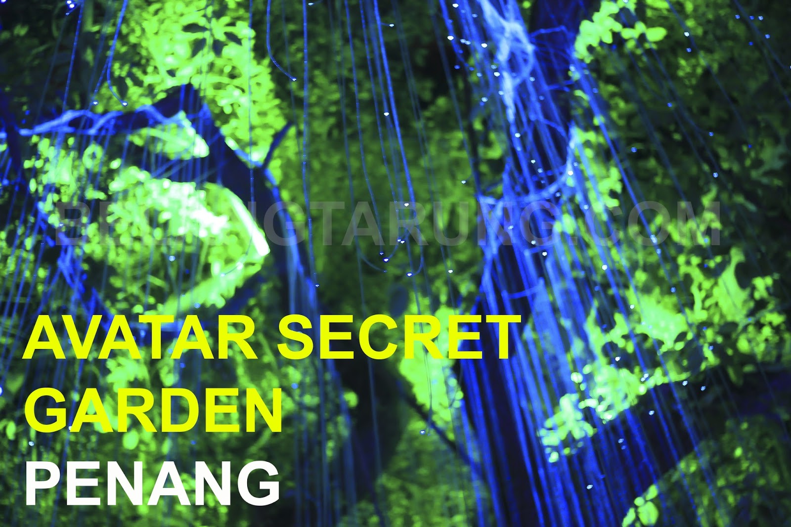 Pengalaman Di Taman Avatar Secret Garden Pulau Pinang