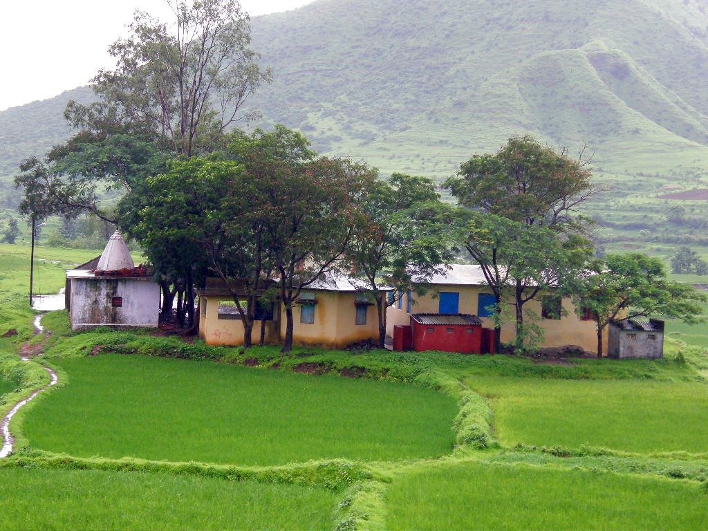 Beauty Of Nature: Hirva nisarg