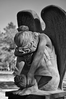 annie oddflower: Noticing Suffering