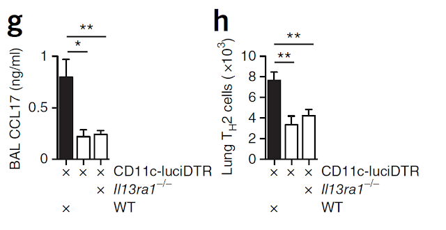 IL-13/CCL17 axis drives Th2 memory response to allergen | NIHilist's ...