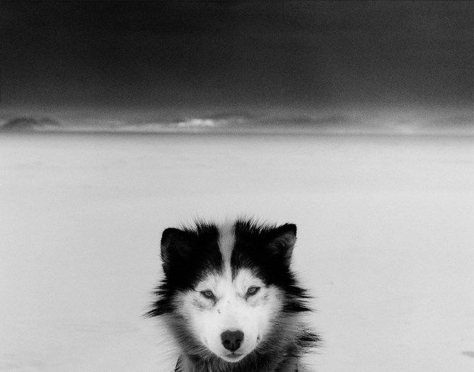 Lens Heroes: a resource of Photographers: Ragnar Axelsson