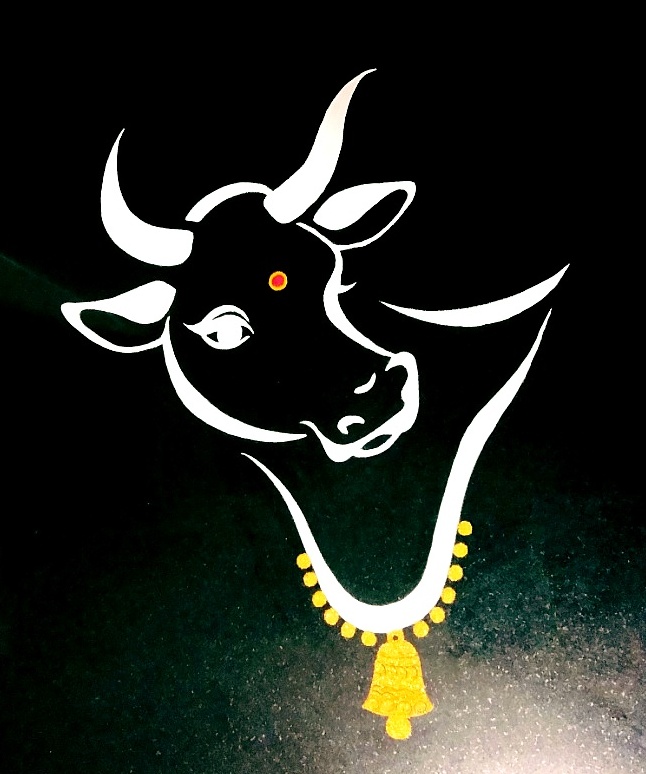 Rangoli / Kolams: 2018- Pongal- Cow