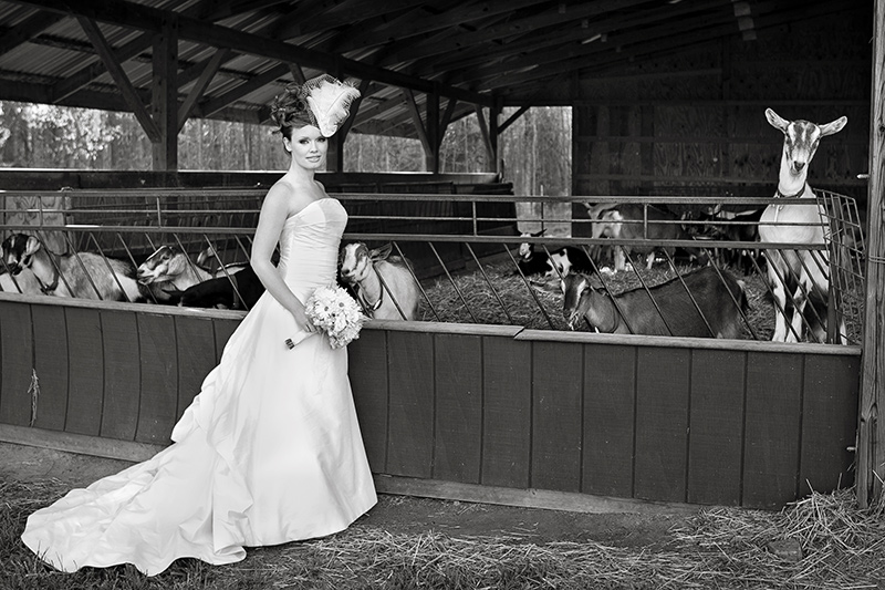 Weddings at Goat Lady Dairy