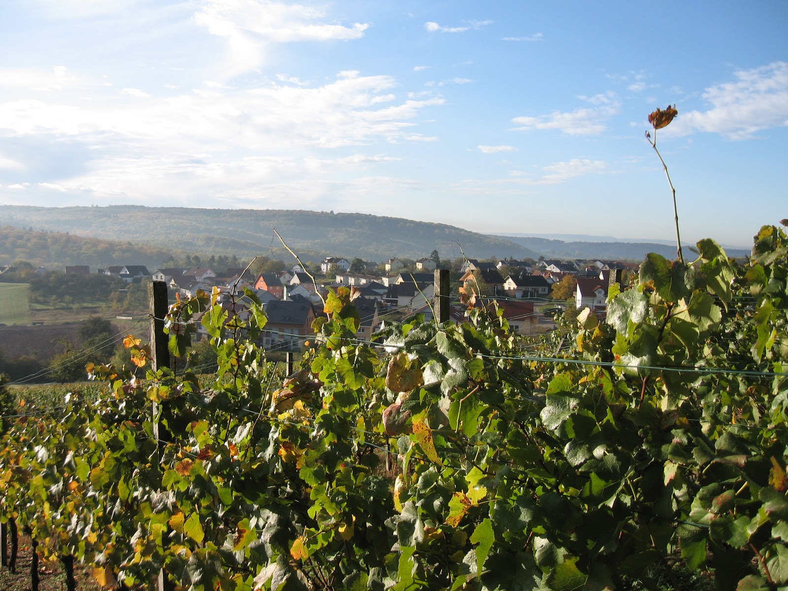 KurpfalzWandern: Wandern im Kraichgau; Vom Eichelberg zum Steinsberg