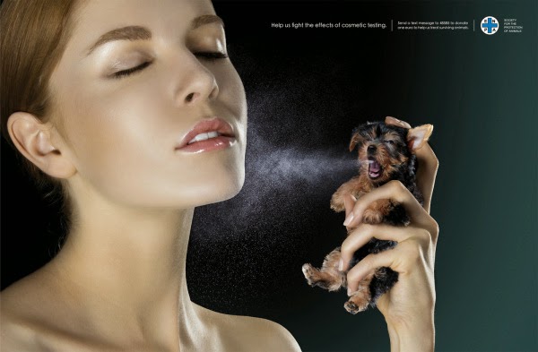 Animal Experimentation: Animal Testing - An expensive and cruel practice