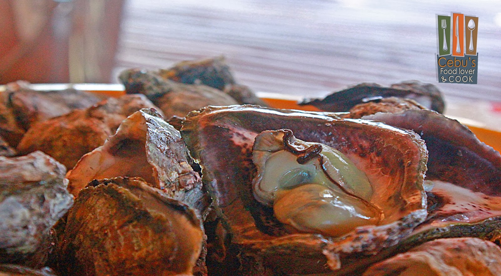 Cebu's Food Lover and Cook: CO JORDAN TALABA / BANGUS FARM ...