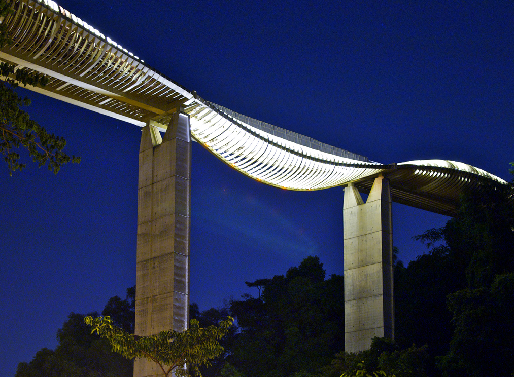 hjtann photo blog: Henderson Waves Bridge