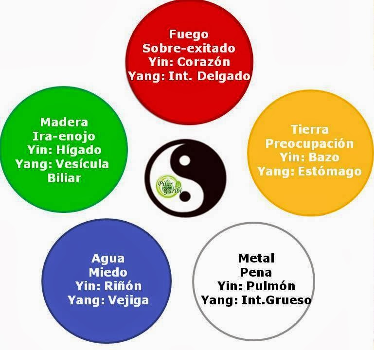La Salud y la Teoría de los 5 Elementos - Guerrero Espiritual