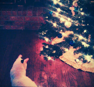 Greyson Chance Universe: Greyson Chance Pictures with His Mom and ...