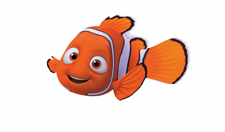 Our Odyssey Finding Nemo One Step Forward Two Steps Back our-odyssey-finding-nemo-one-step-forward-two-steps-back