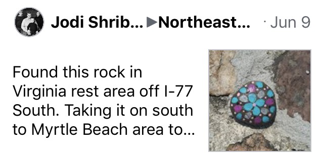 Northeast Ohio Rocks!: Northeast Ohio Rocks! in all 50 States Volume 5
