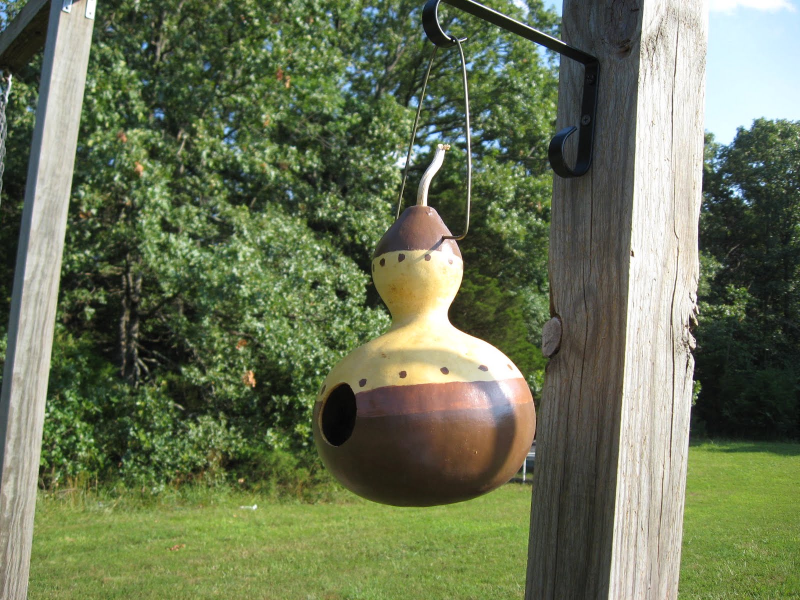 Cedar Cove Farm: Cool Purple Martin Birdhouse Gourd
